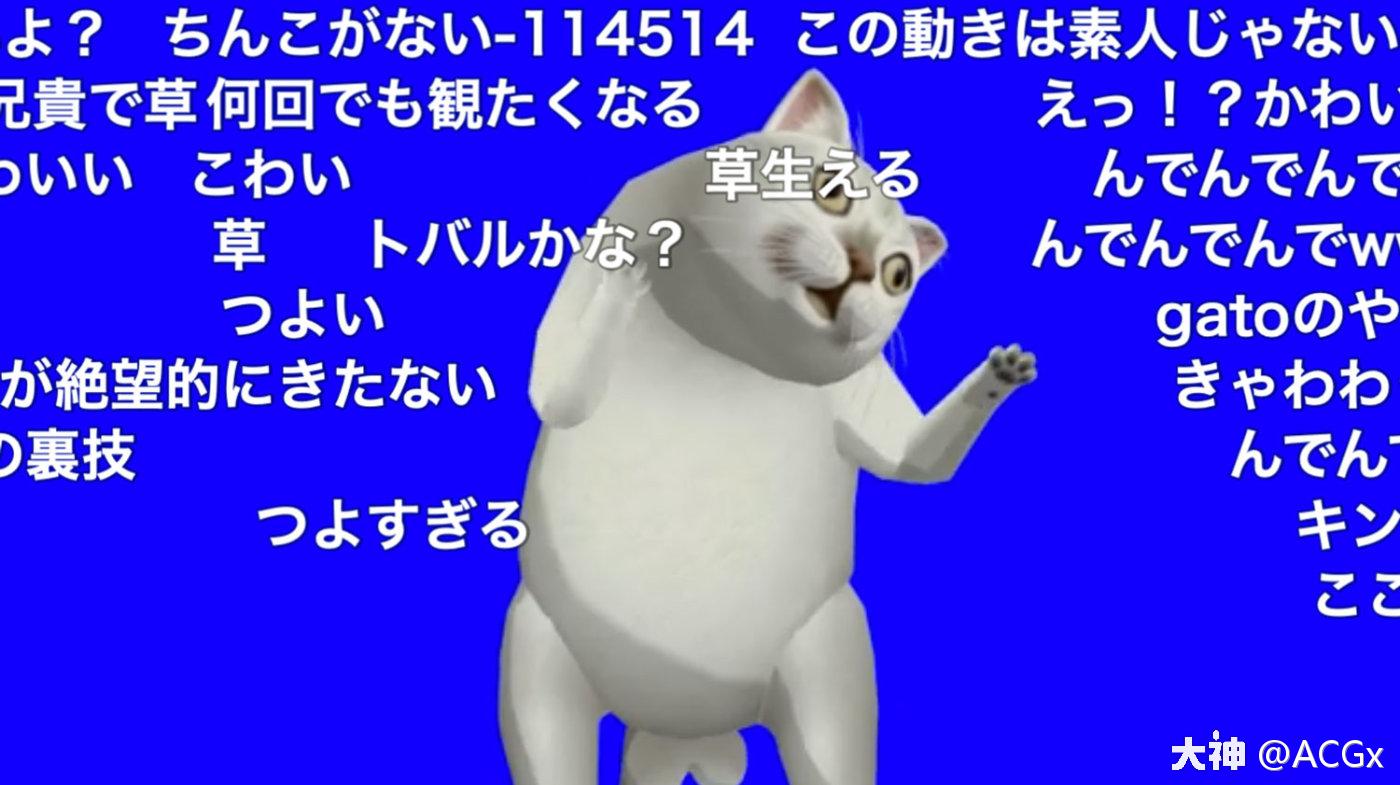 为什么微博、B站流行的MUR猫，都有一对巨大的蛋蛋？_大神