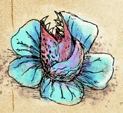 草药学引导_哈利波特魔法觉醒 | 大神